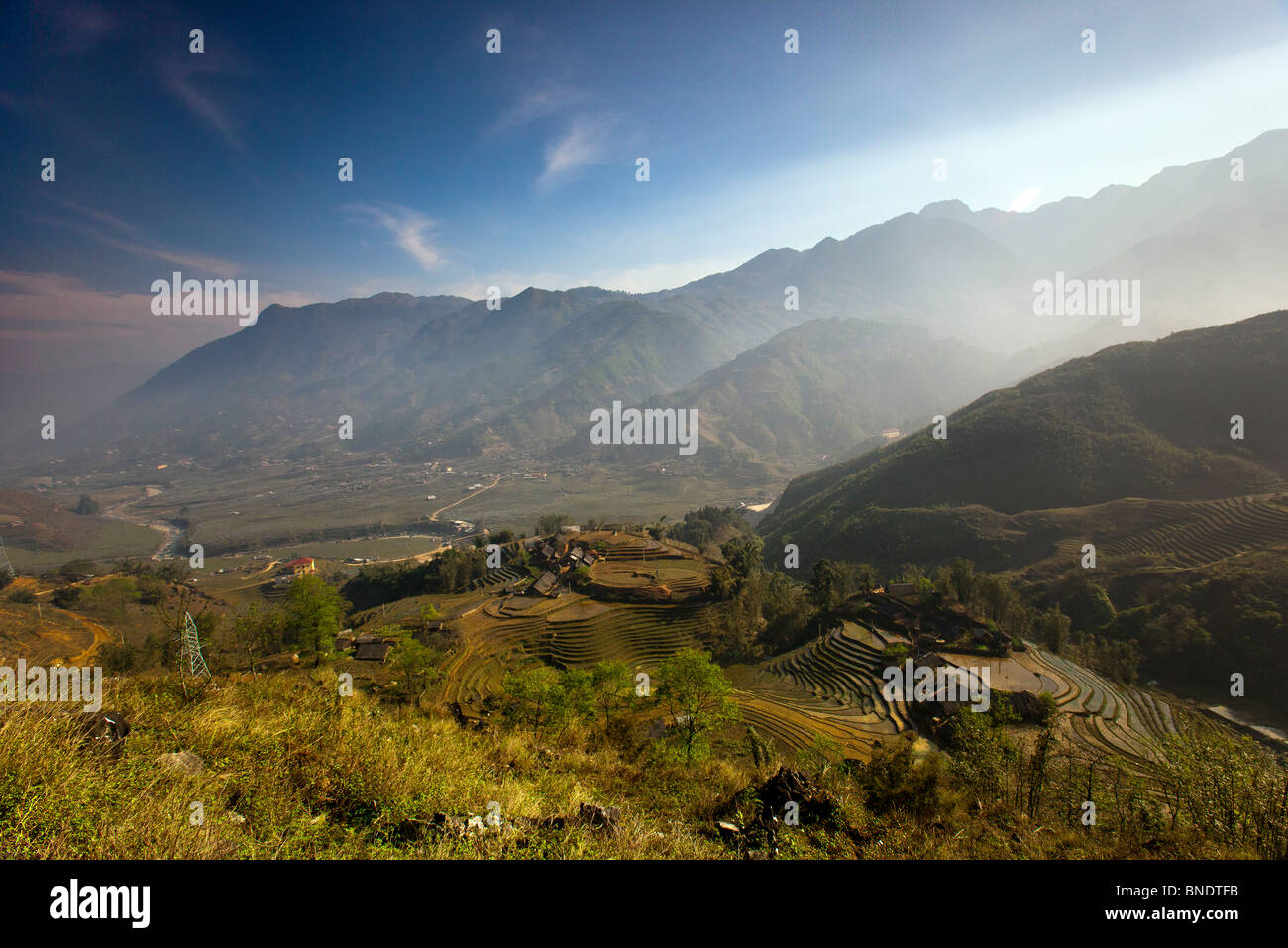 Rice terrace at Sapa Vietnam Stock Photo - Alamy