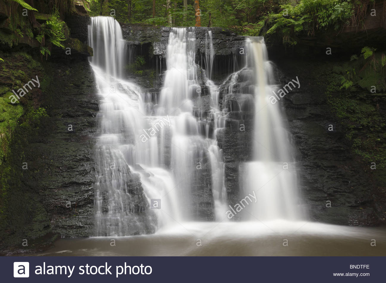Goitstock Wood High Resolution Stock Photography and Images - Alamy