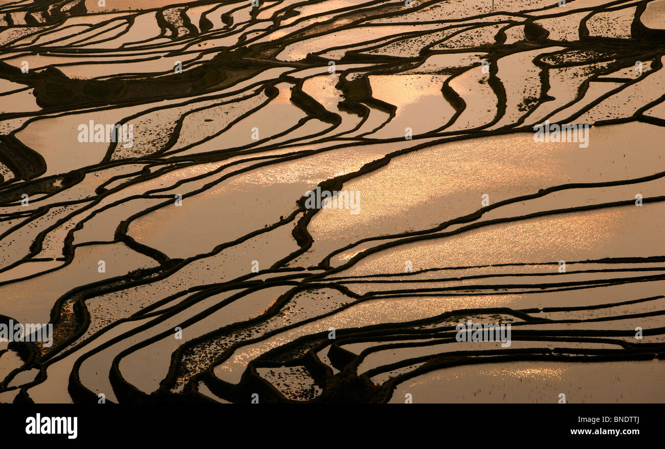 Yuanyang County rice terraces built by the Hani nationality, southwest ...