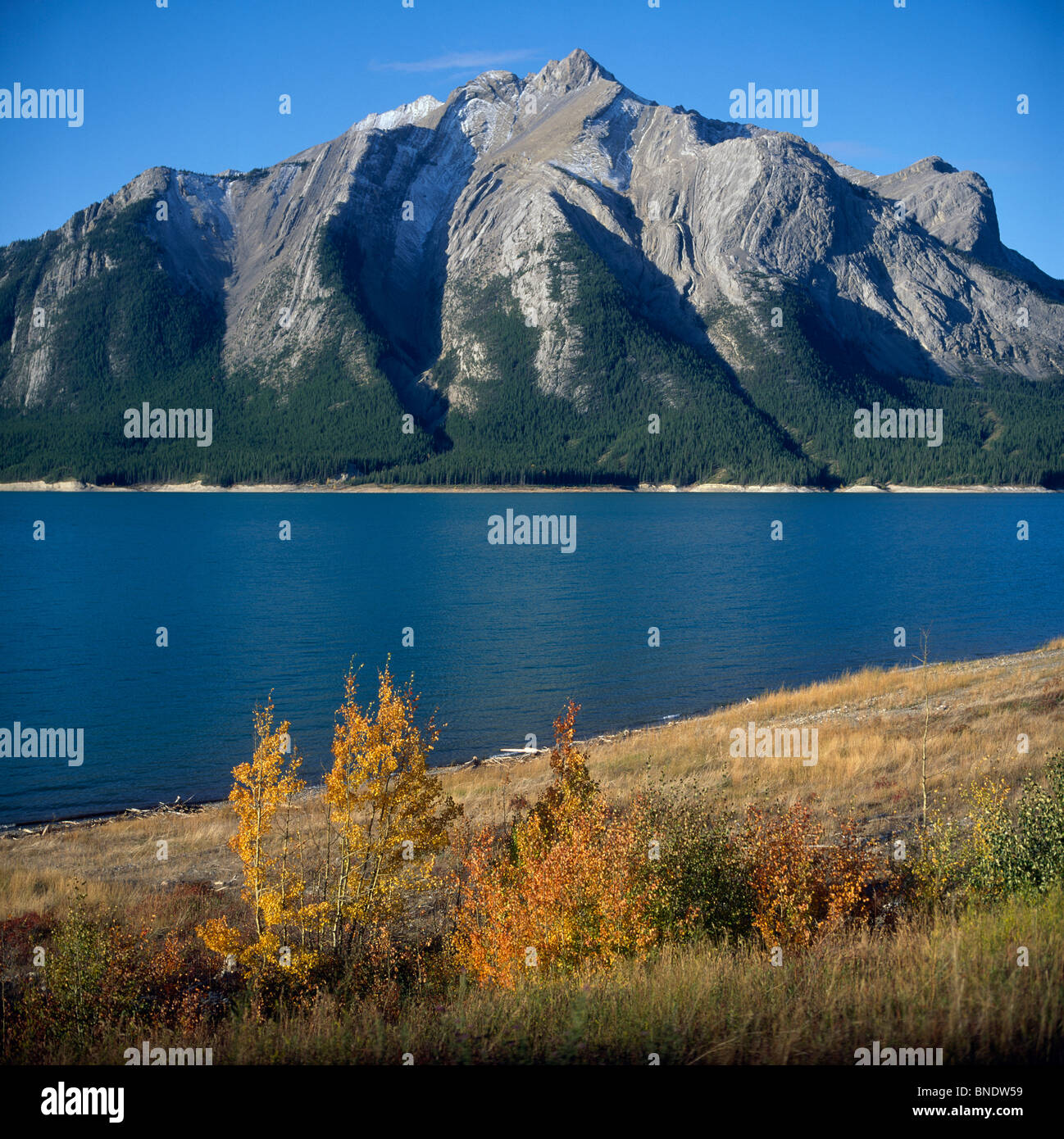 Michener hi-res stock photography and images - Alamy