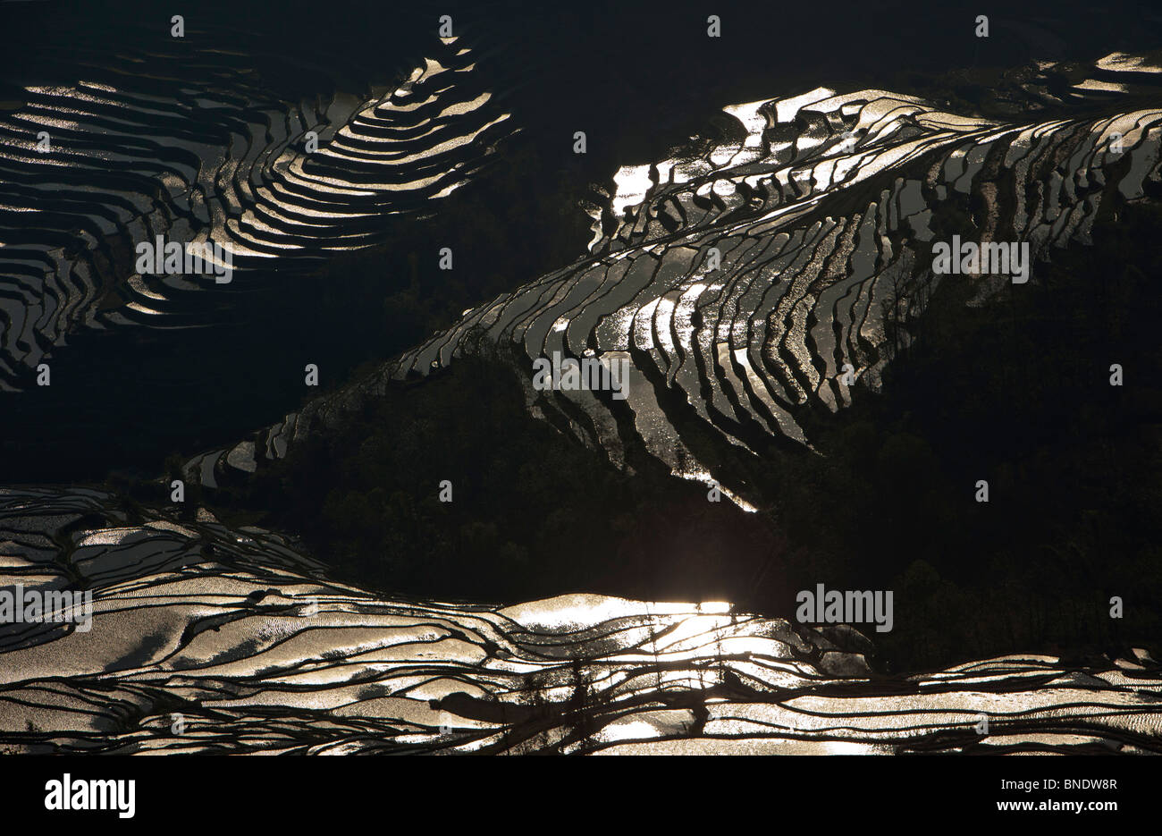 Yuanyang County rice terraces built by the Hani nationality, southwest ...