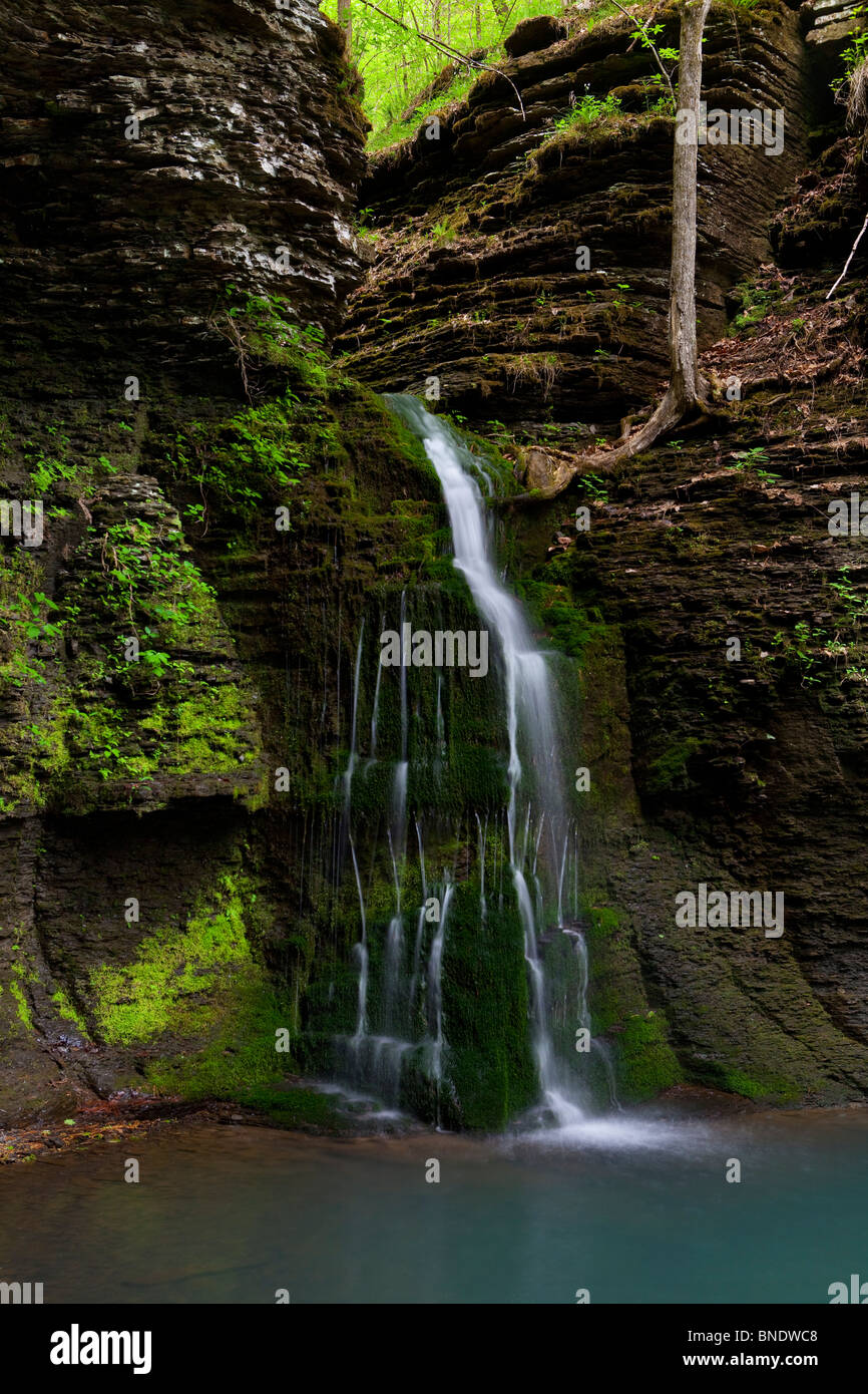 Ozark st francis national forest hi-res stock photography and images ...