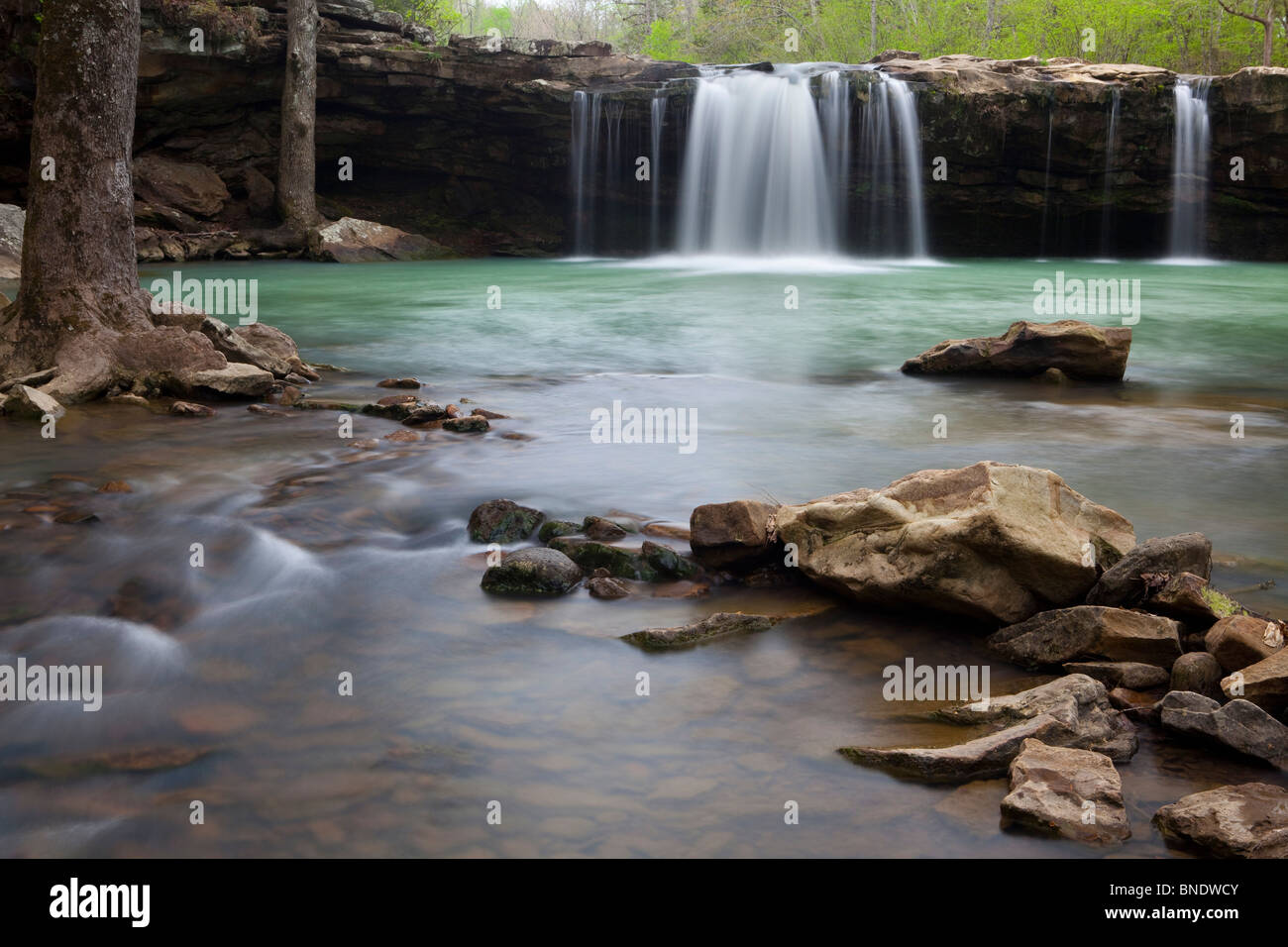 Waterfall in a forest, Ozark National Forest, Ozark Mountains, Arizona ...