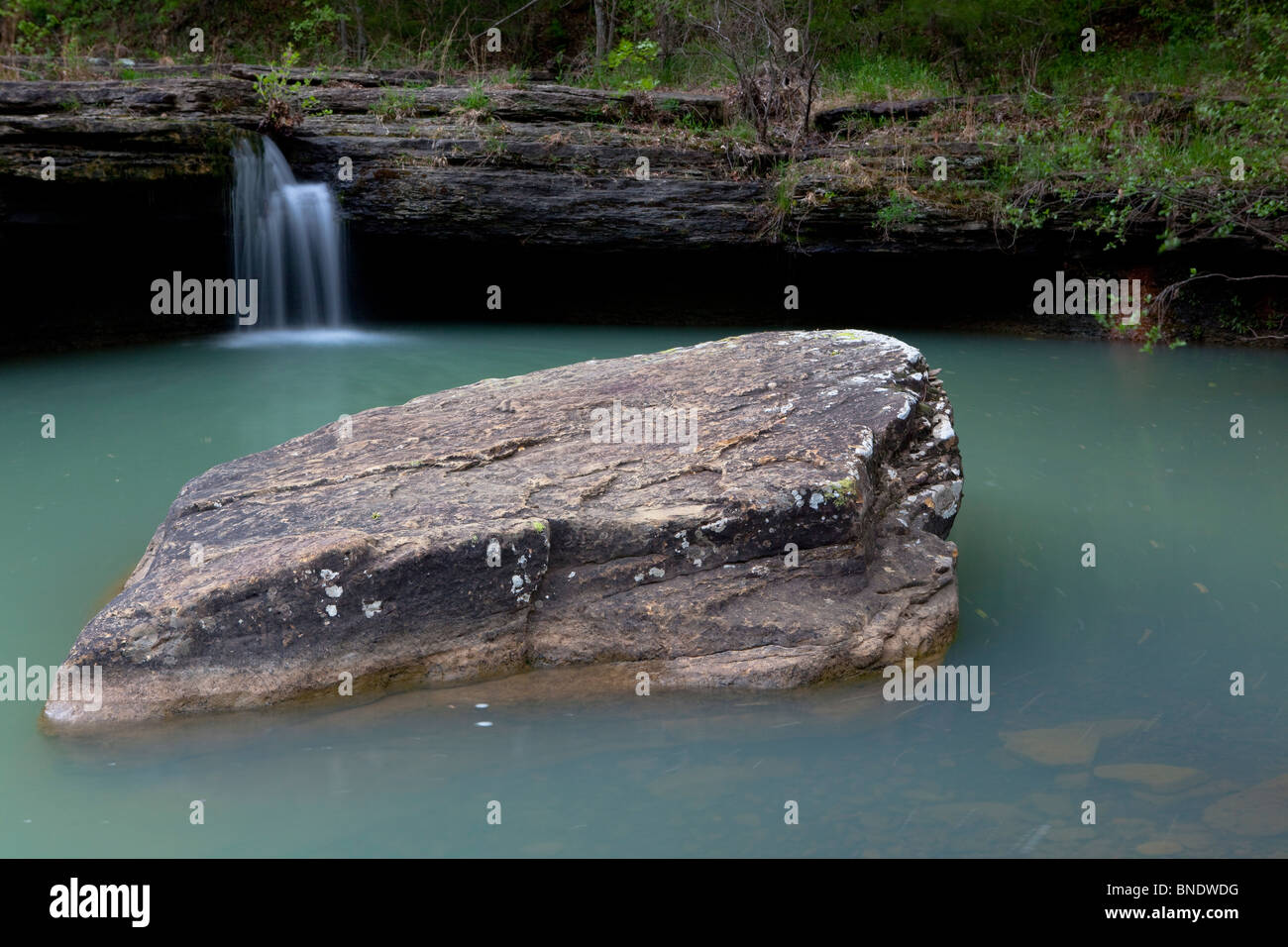 Waterfall in a forest, Ozark National Forest, Ozark Mountains, Arizona ...