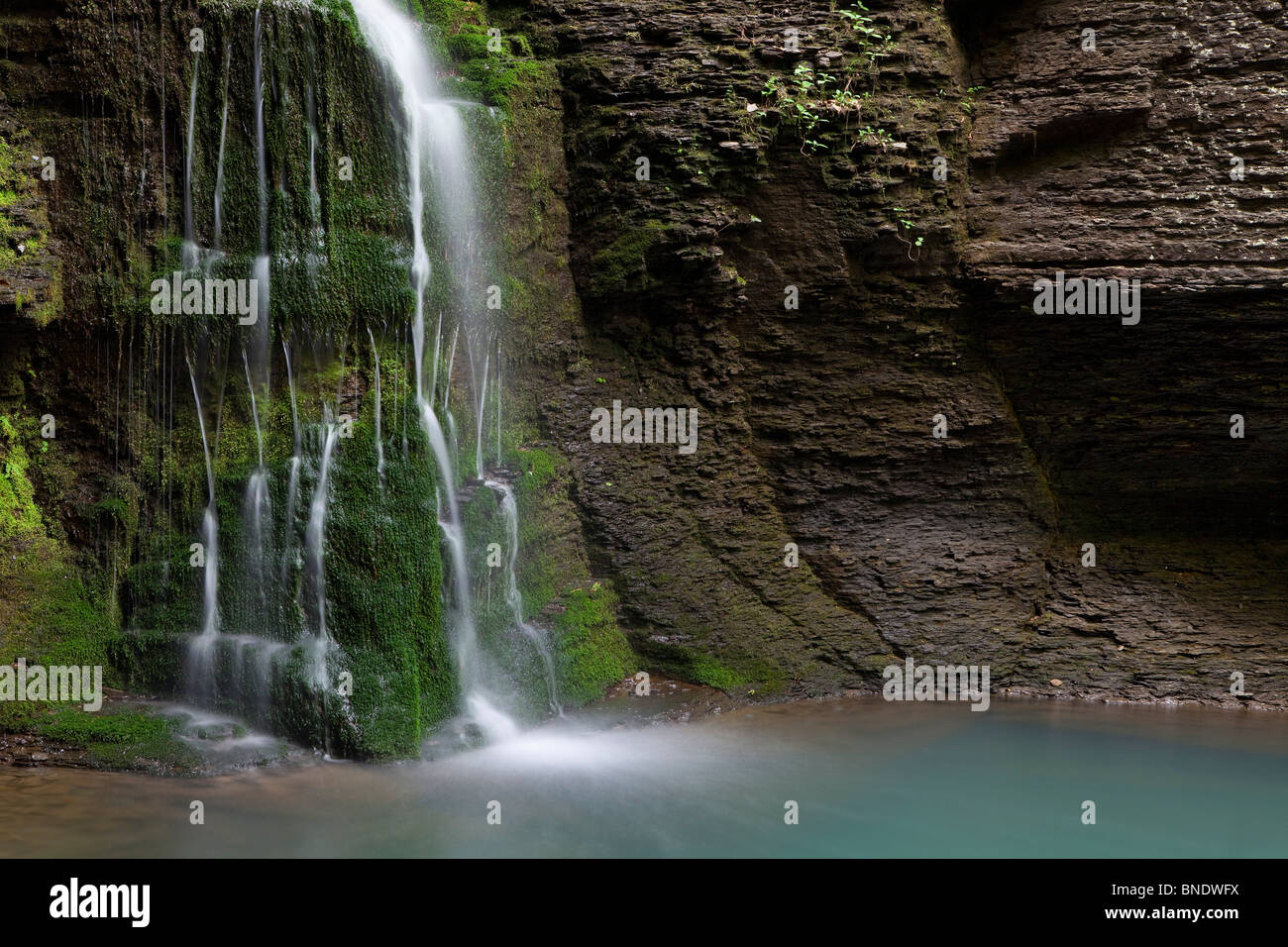 Waterfall in a forest, Ozark National Forest, Ozark Mountains, Arizona ...