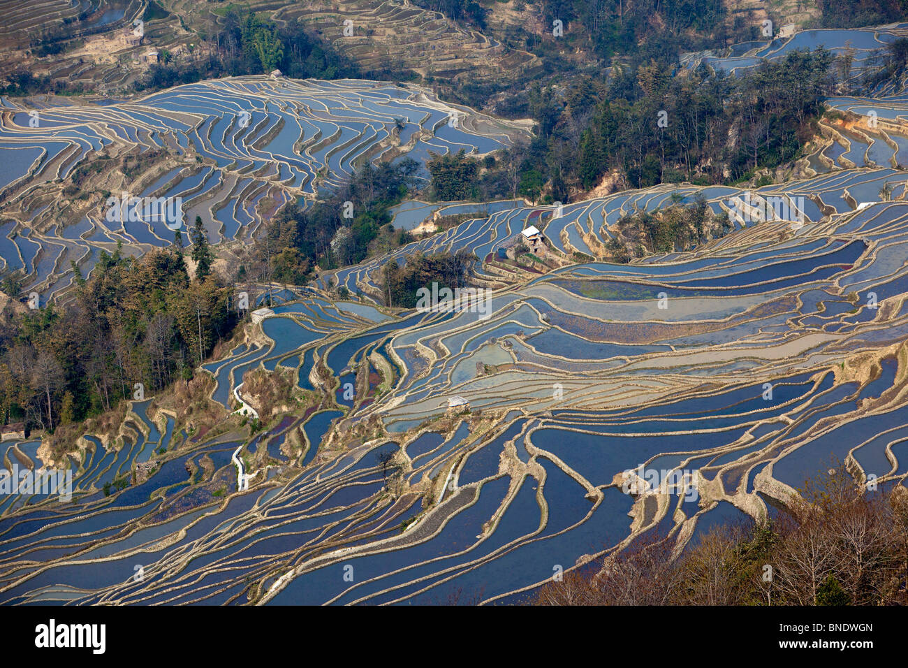Yuanyang County rice terraces built by the Hani nationality, southwest ...