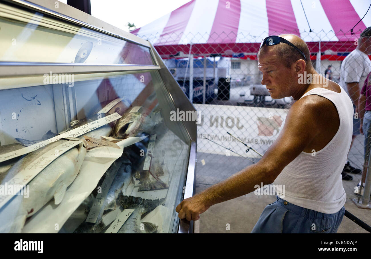 Measuring up the competition: an angler studies the leading catches on ...