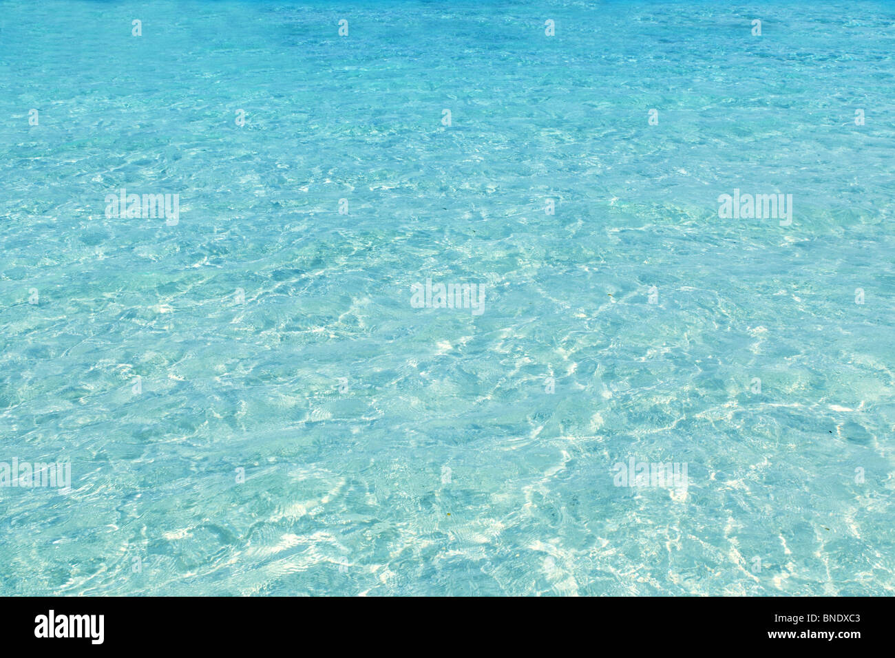 turquoise perfect tropical beach white sand bottom caribbean background ...