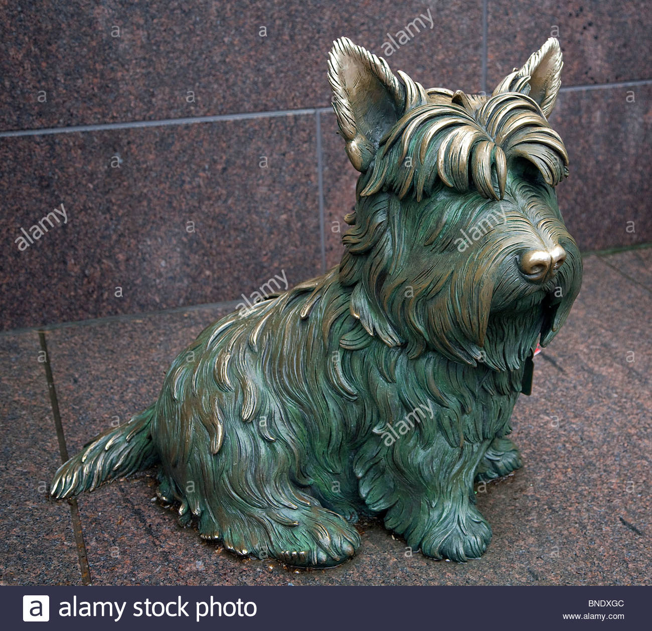 Fala Roosevelt Stock Photos & Fala Roosevelt Stock Images - Alamy