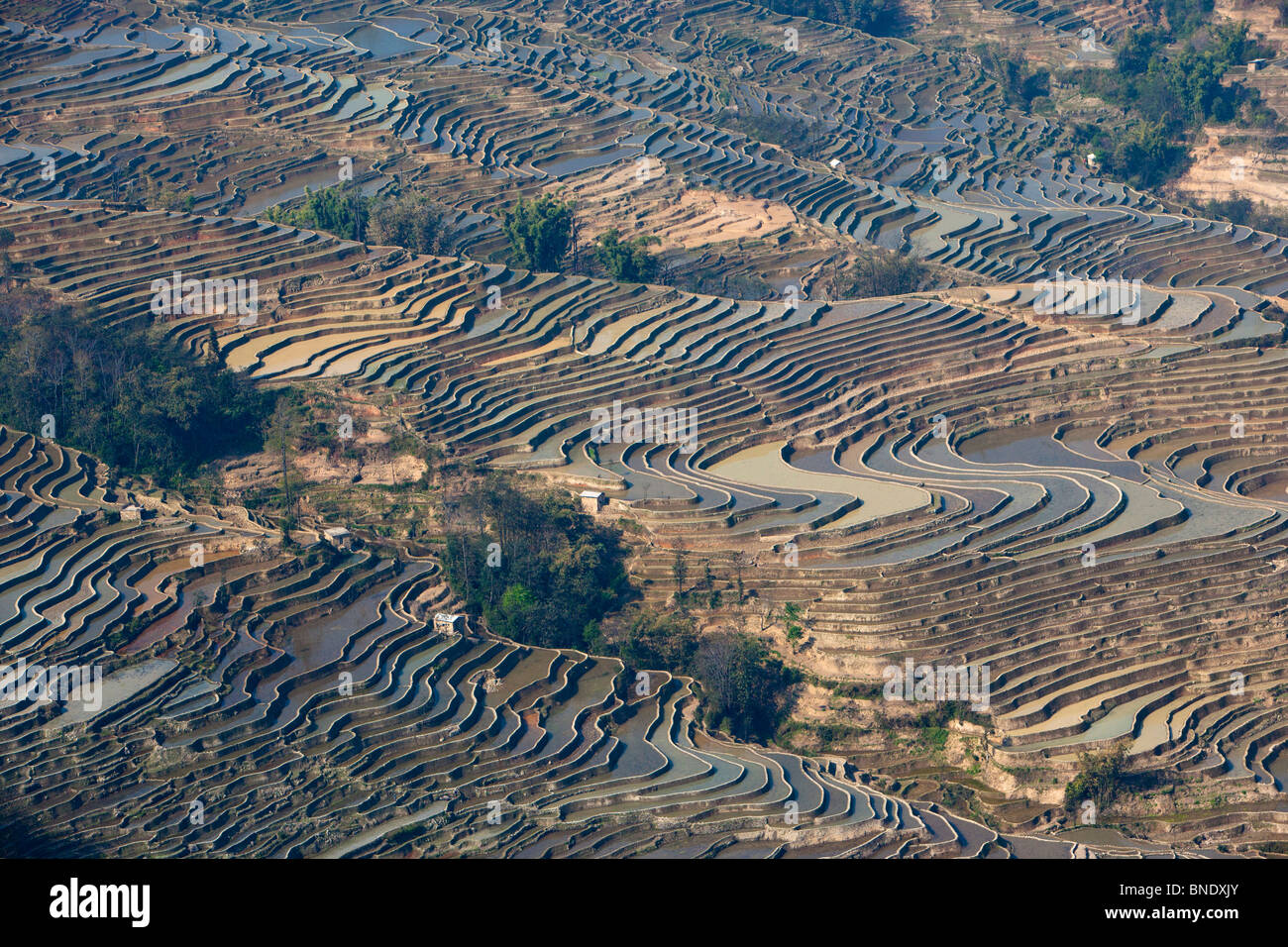 Yuanyang County Stock Photos & Yuanyang County Stock Images - Alamy