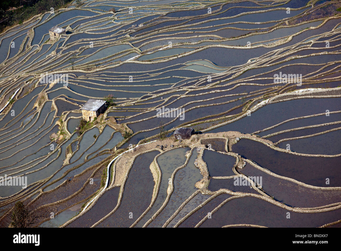 Yuanyang County rice terraces built by the Hani nationality, southwest ...