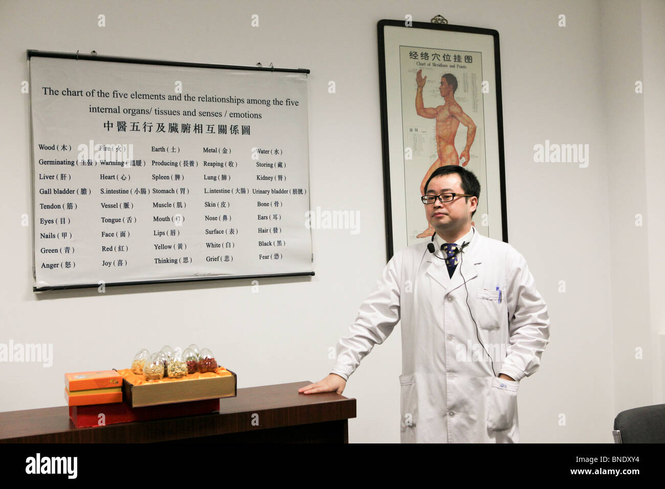 China, Beijing, Chinese Medicine practitioner explains the method with ...