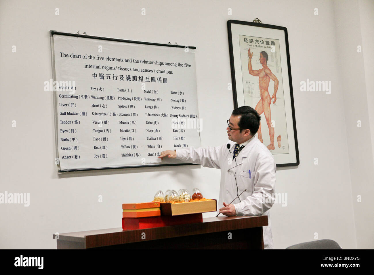 China, Beijing, Chinese Medicine practitioner explains the method with ...
