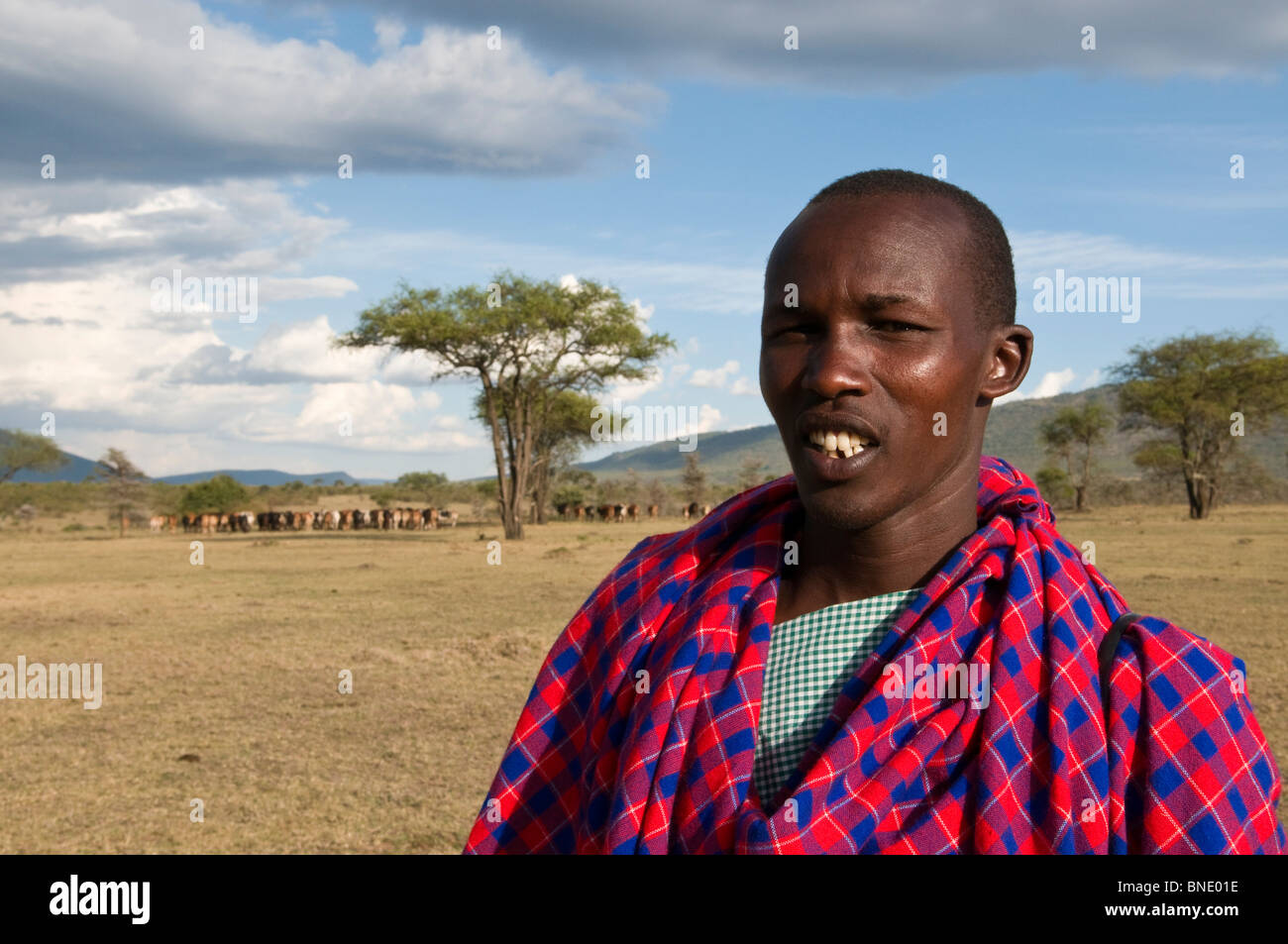 Close-up of a Masai young man smiling, Masai Mara, Kenya Stock Photo ...
