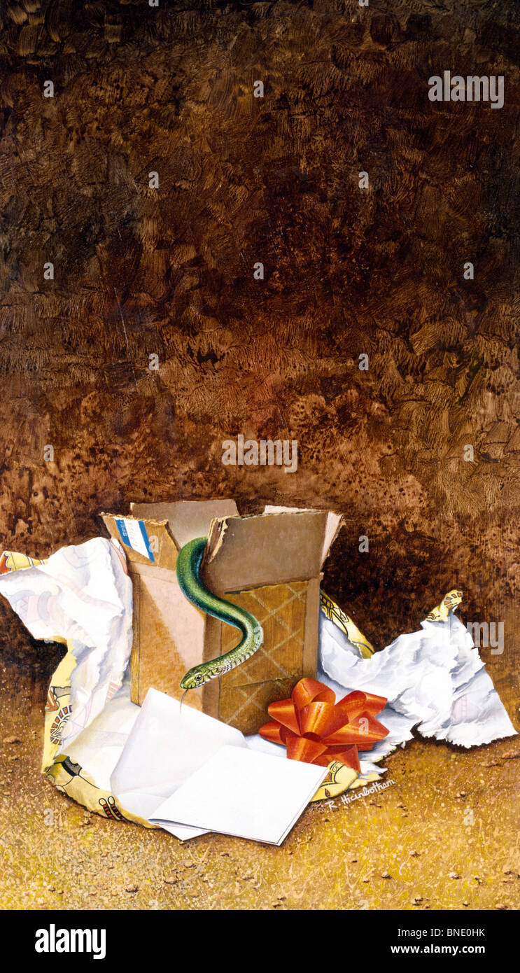 Snake in a gift Stock Photo - Alamy