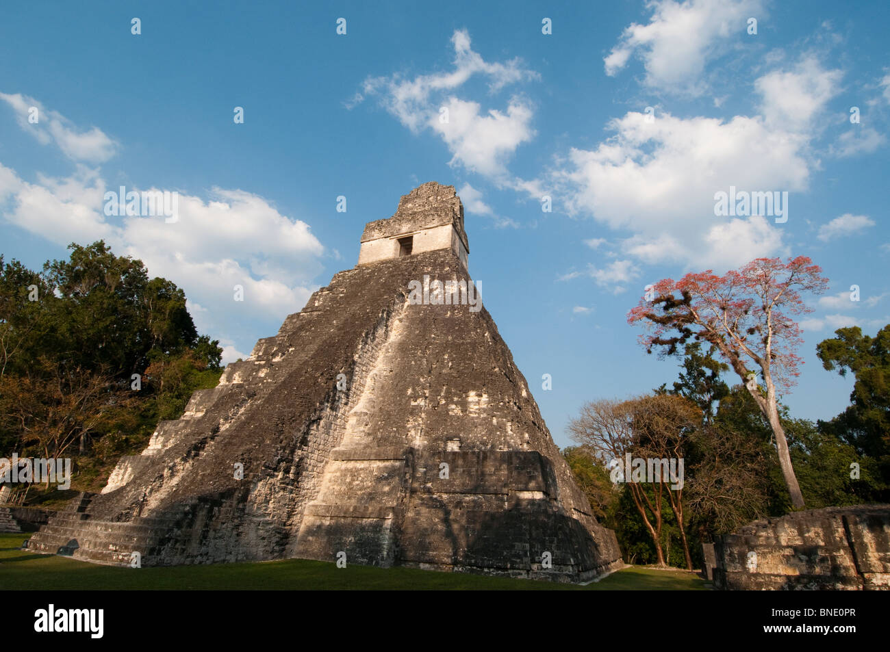 Low angle view of a temple, Tikal Temple I, Tikal National Park, Tikal ...