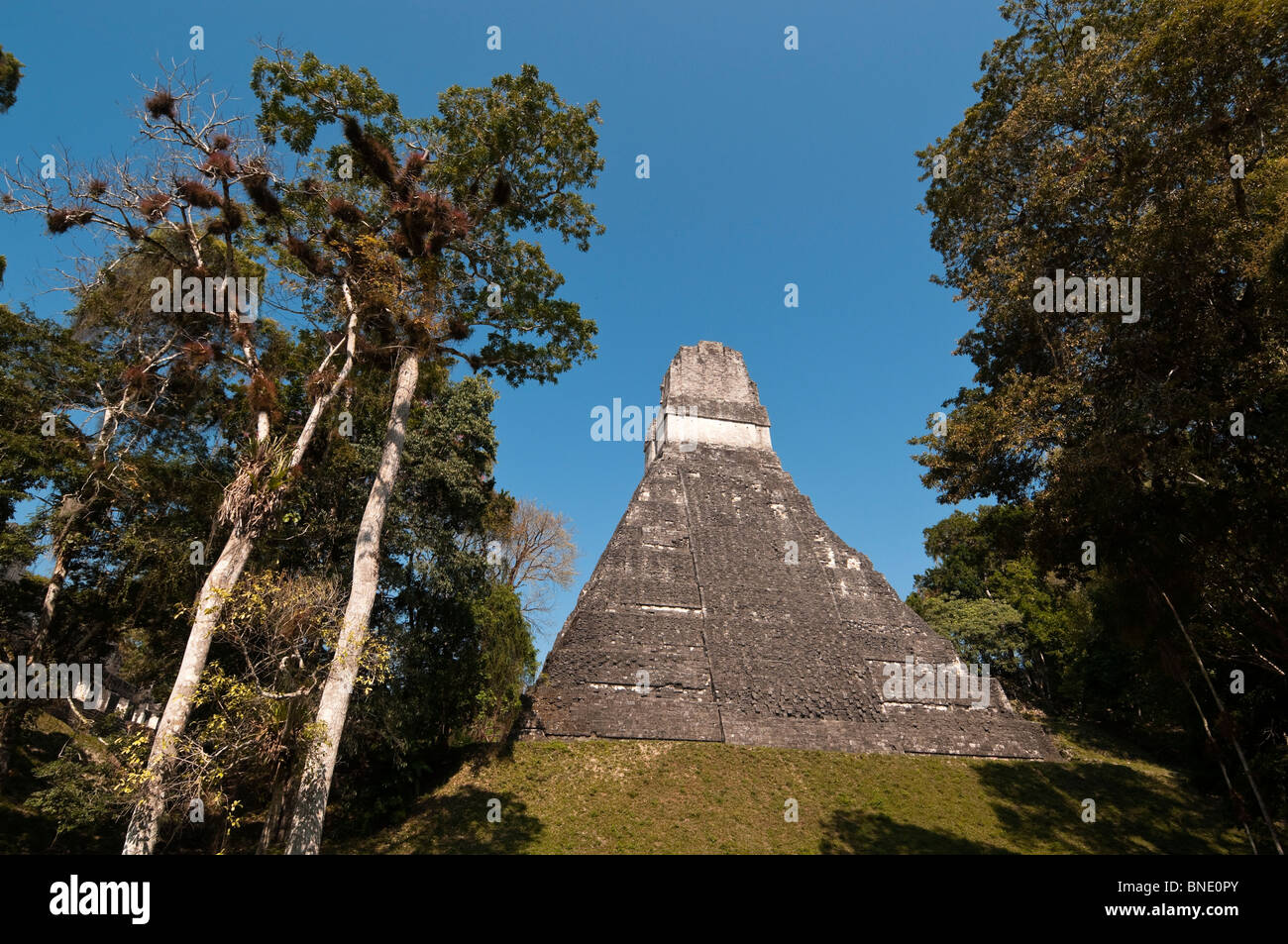 Low angle view of a temple, Tikal Temple I, Tikal National Park, Tikal ...