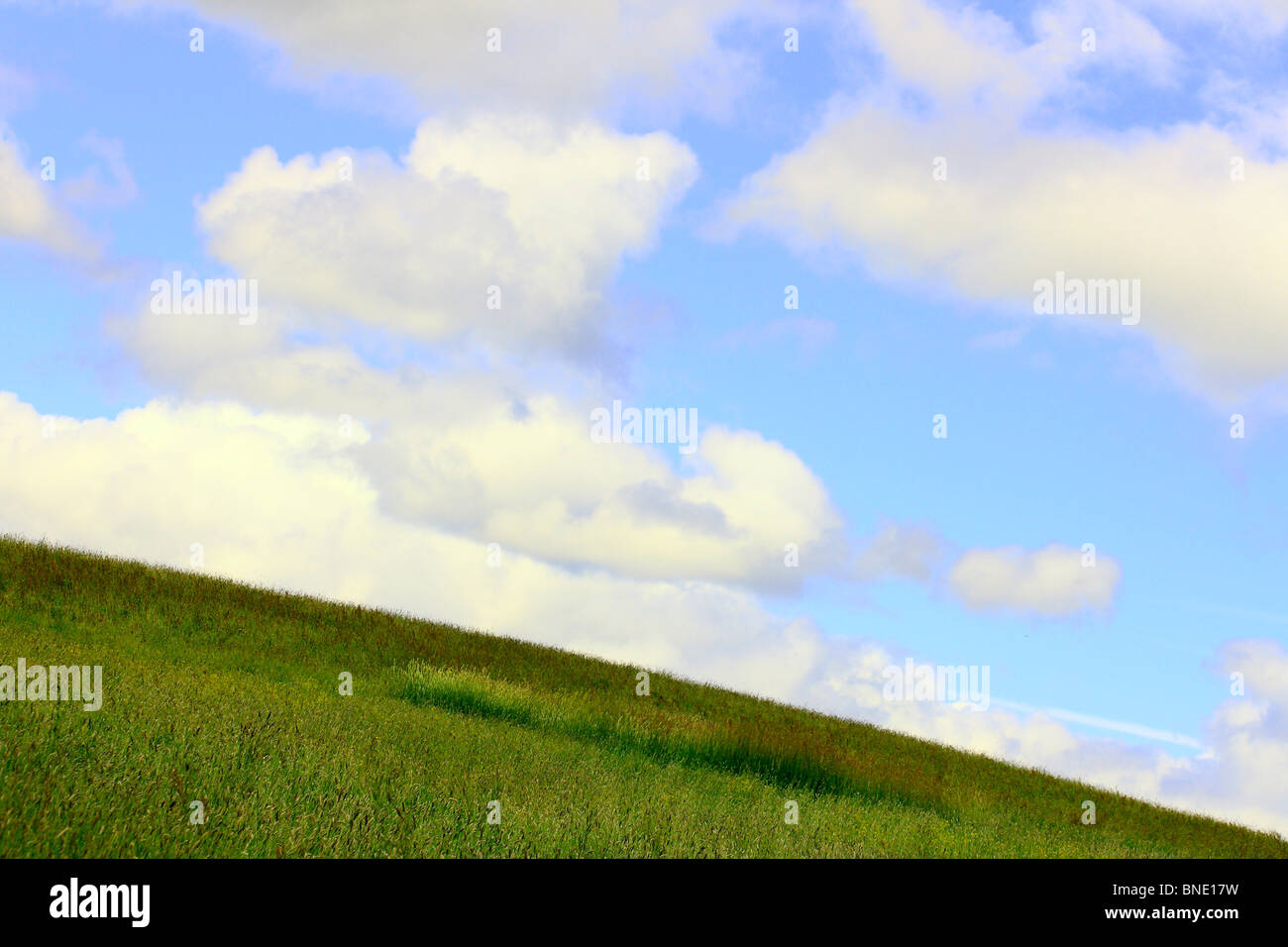 Cumulus clouds over the field Stock Photo - Alamy