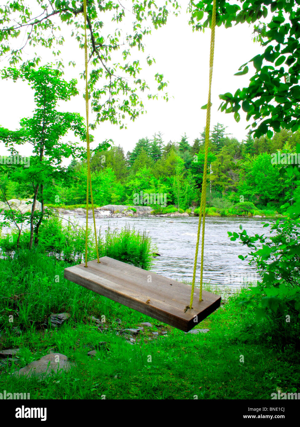 Old swing at the riverside Stock Photo - Alamy