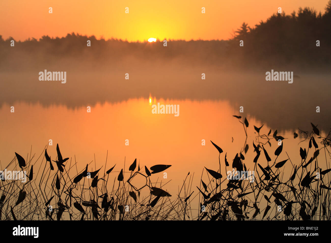 Sunrise over a lake Stock Photo - Alamy