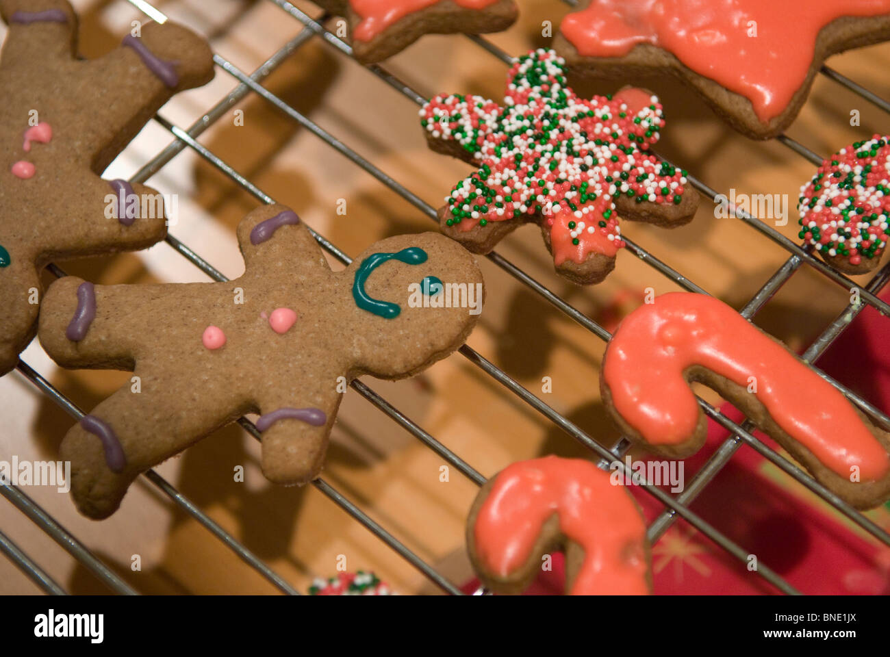 Gingerbread cookies on cooling hi-res stock photography and images - Alamy