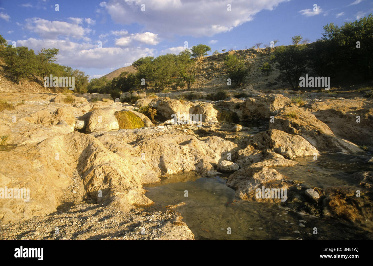 The Ongongo Springs are a natural sulphur spring producing hot water ...