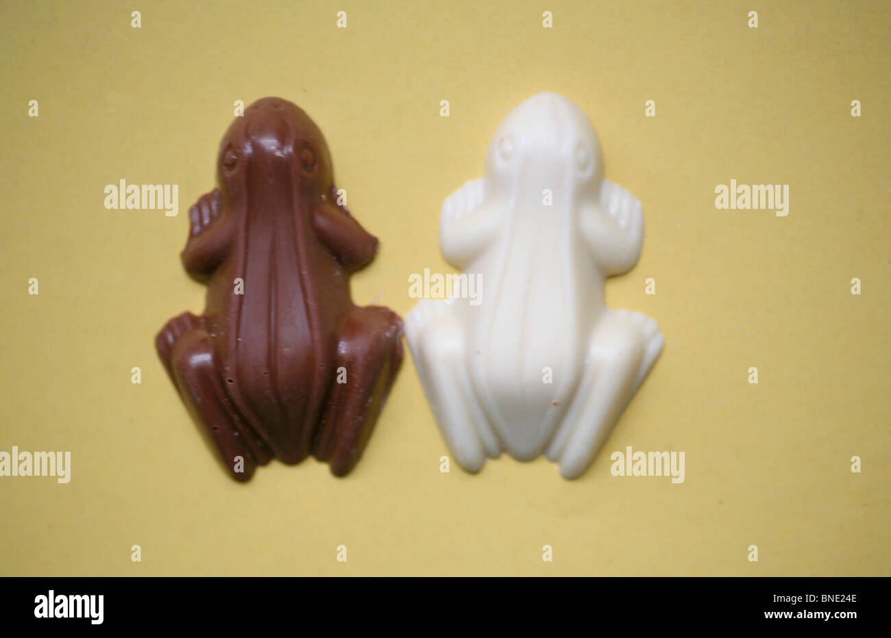 Brown and white chocolate frogs Stock Photo - Alamy