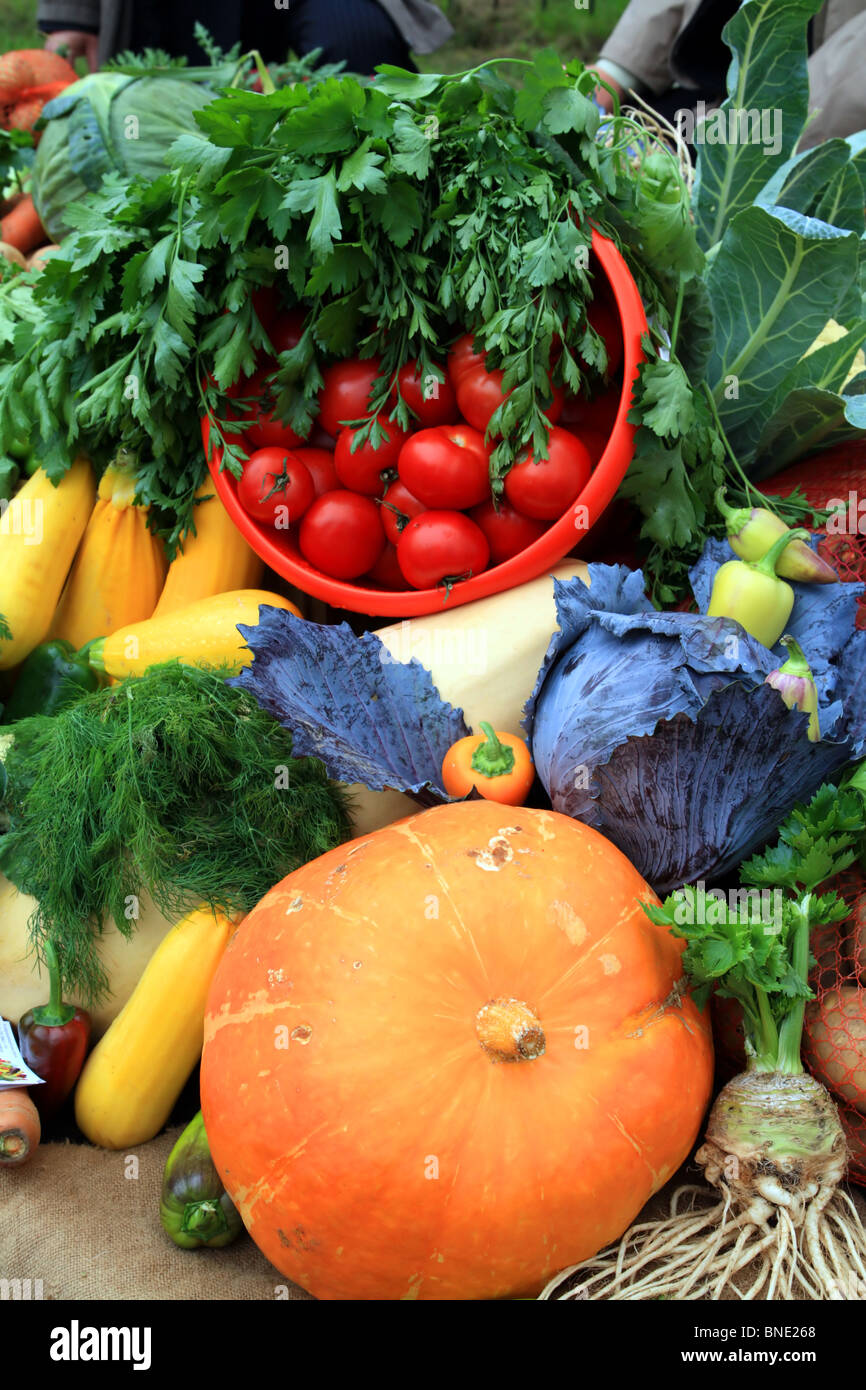 Rura group hi-res stock photography and images - Alamy