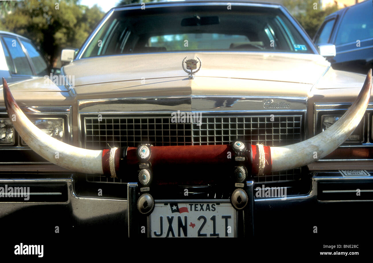 Texan longhorn license plate on a car Stock Photo - Alamy