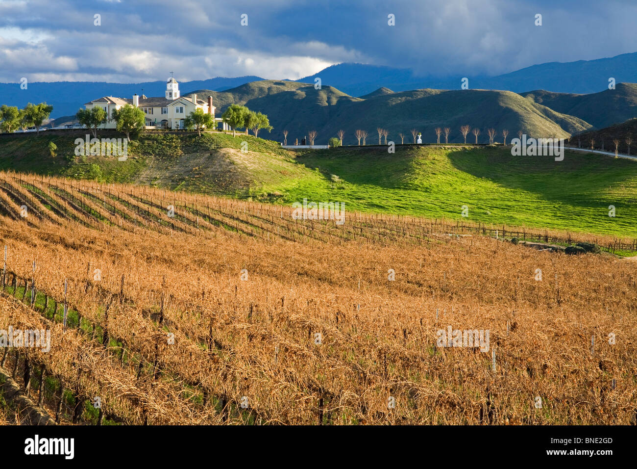 Winery Temecula Vines High Resolution Stock Photography and Images - Alamy