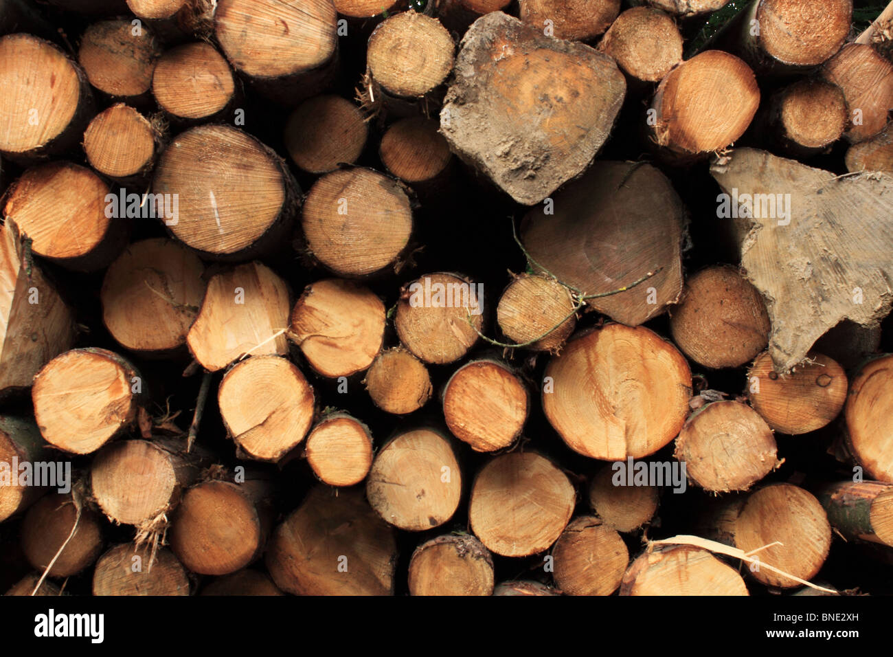 Logs piles hi-res stock photography and images - Alamy