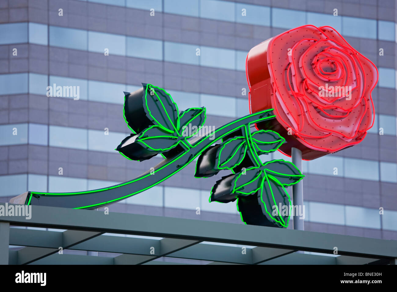 Low angle view of neon rose sign, Waterfront Park, Portland, Oregon ...