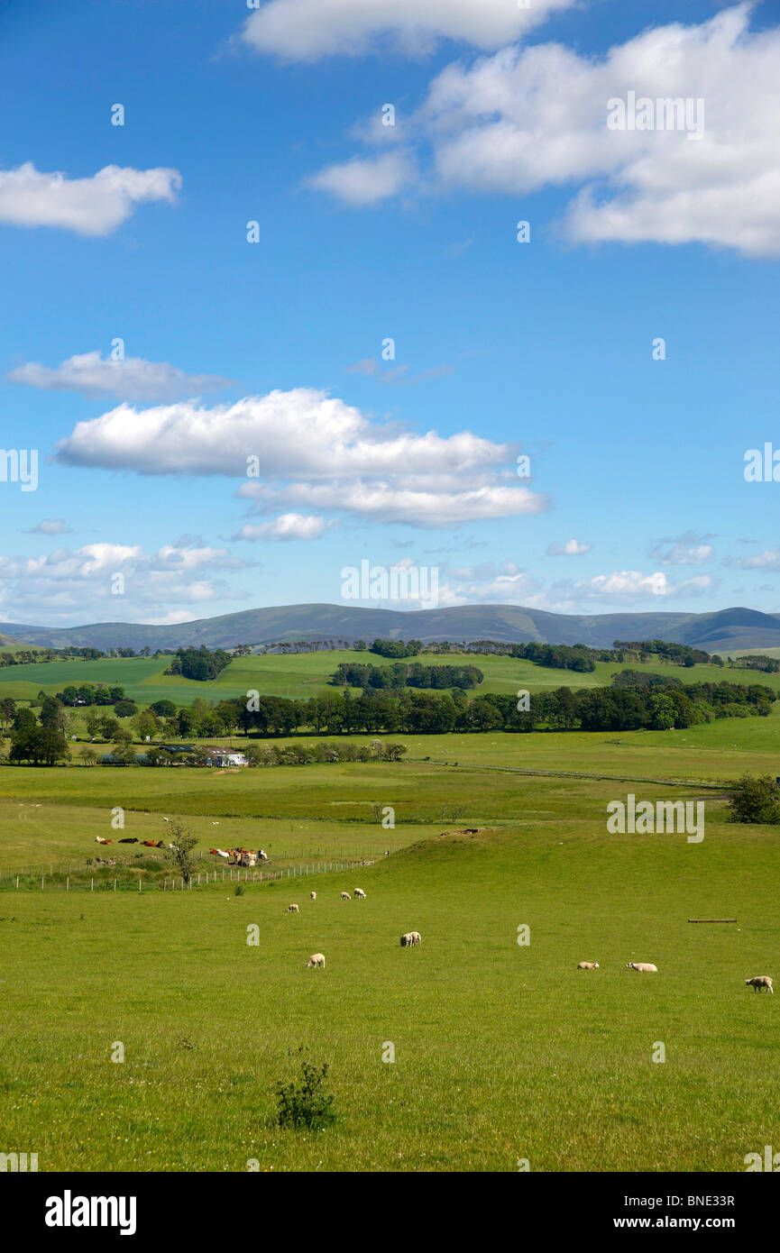 Scottish Borders Landscape just north of Biggar, Scotland Stock Photo ...