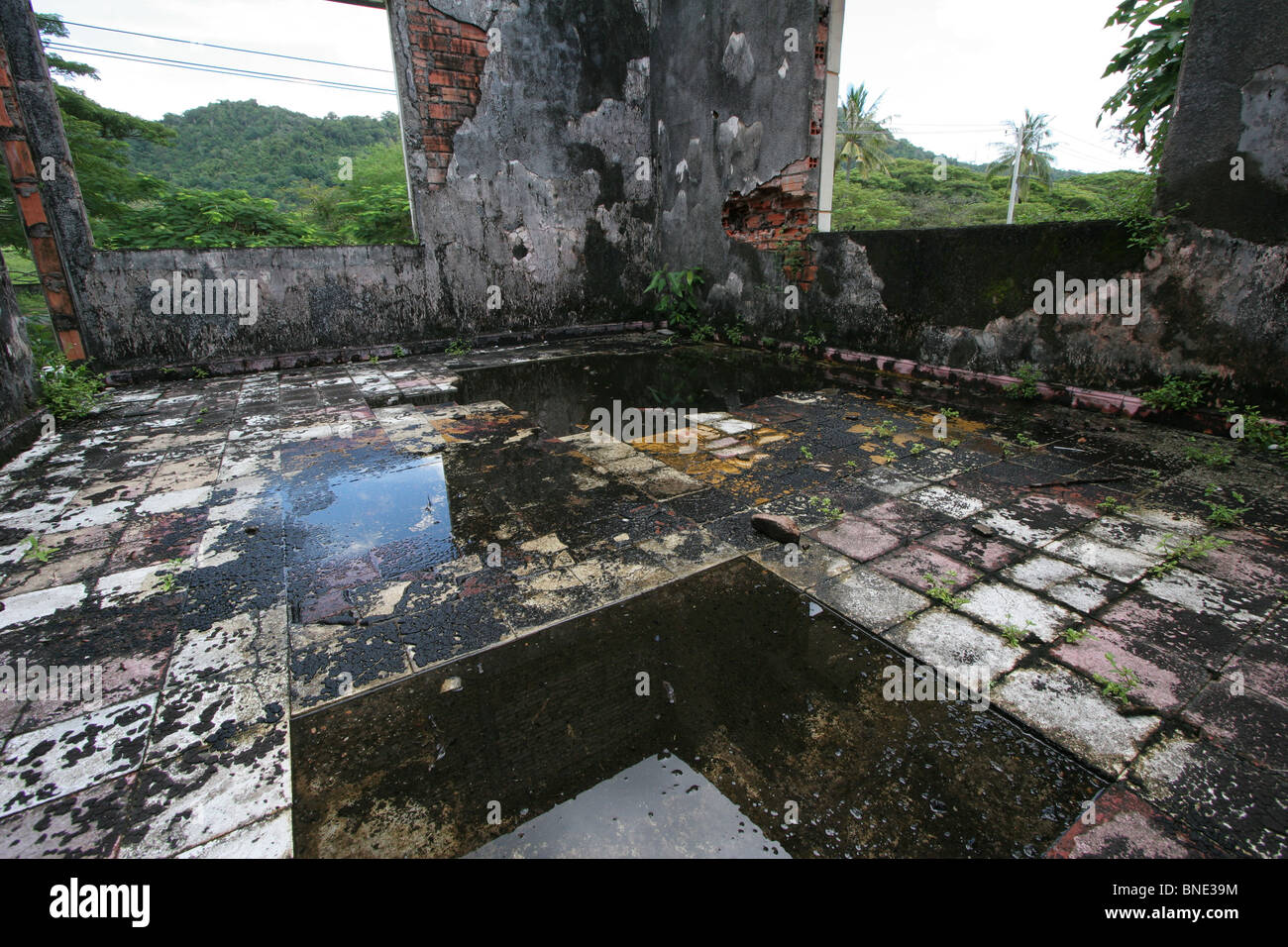 Sea floor damage hi-res stock photography and images - Alamy