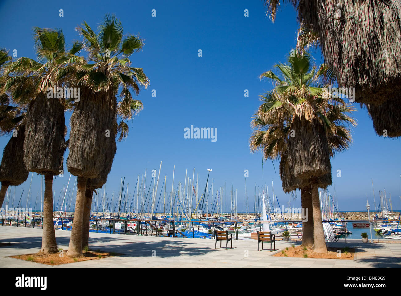Beach promenade tayelet tel aviv israel hi-res stock photography and ...