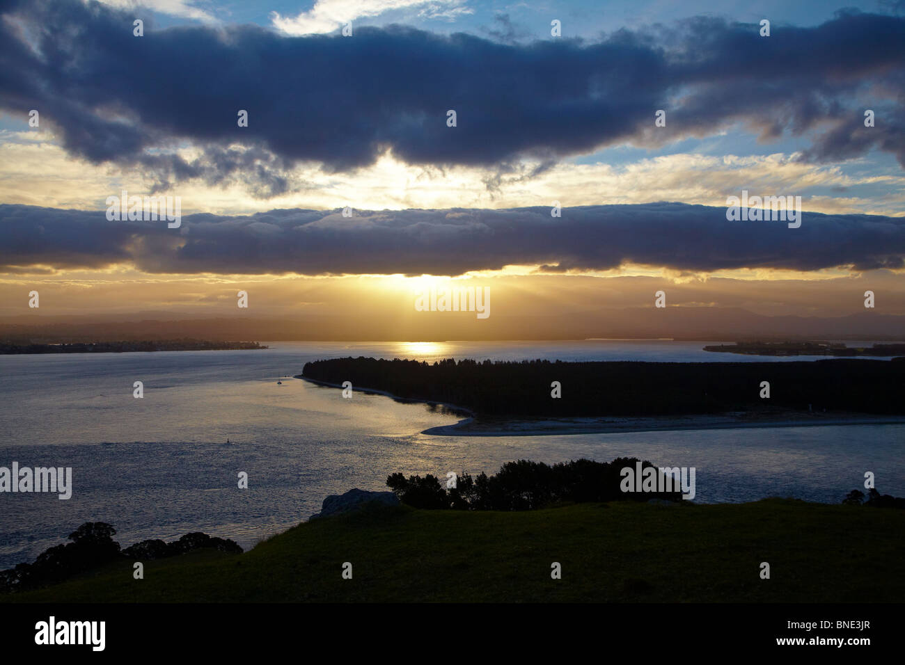 Matakana island hi-res stock photography and images - Alamy