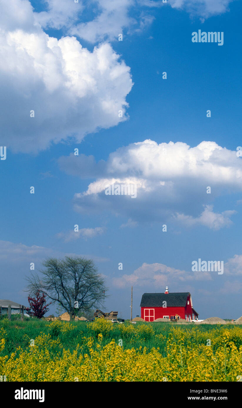 USA, Indiana, farmhouse in field Stock Photo - Alamy
