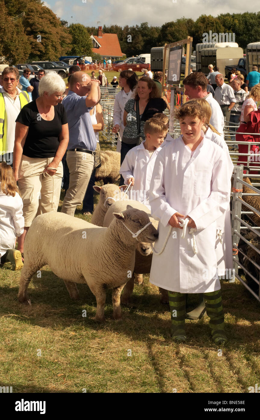 Findon Sheep Fair, West Sussex, England Stock Photo - Alamy
