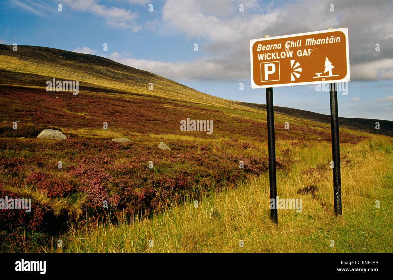 Information sign in a field, Ireland Stock Photo - Alamy