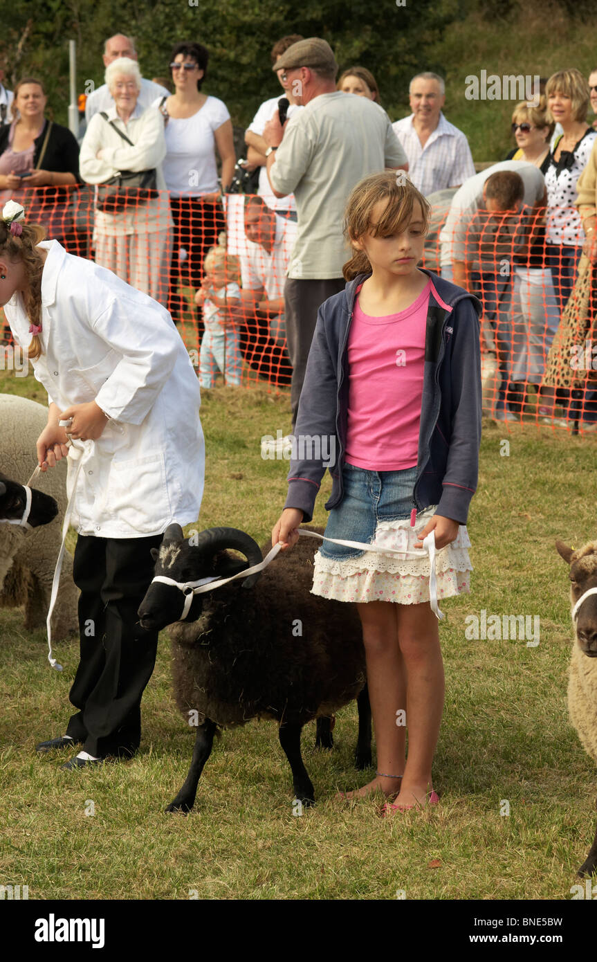 Findon Sheep Fair, West Sussex, England Stock Photo - Alamy