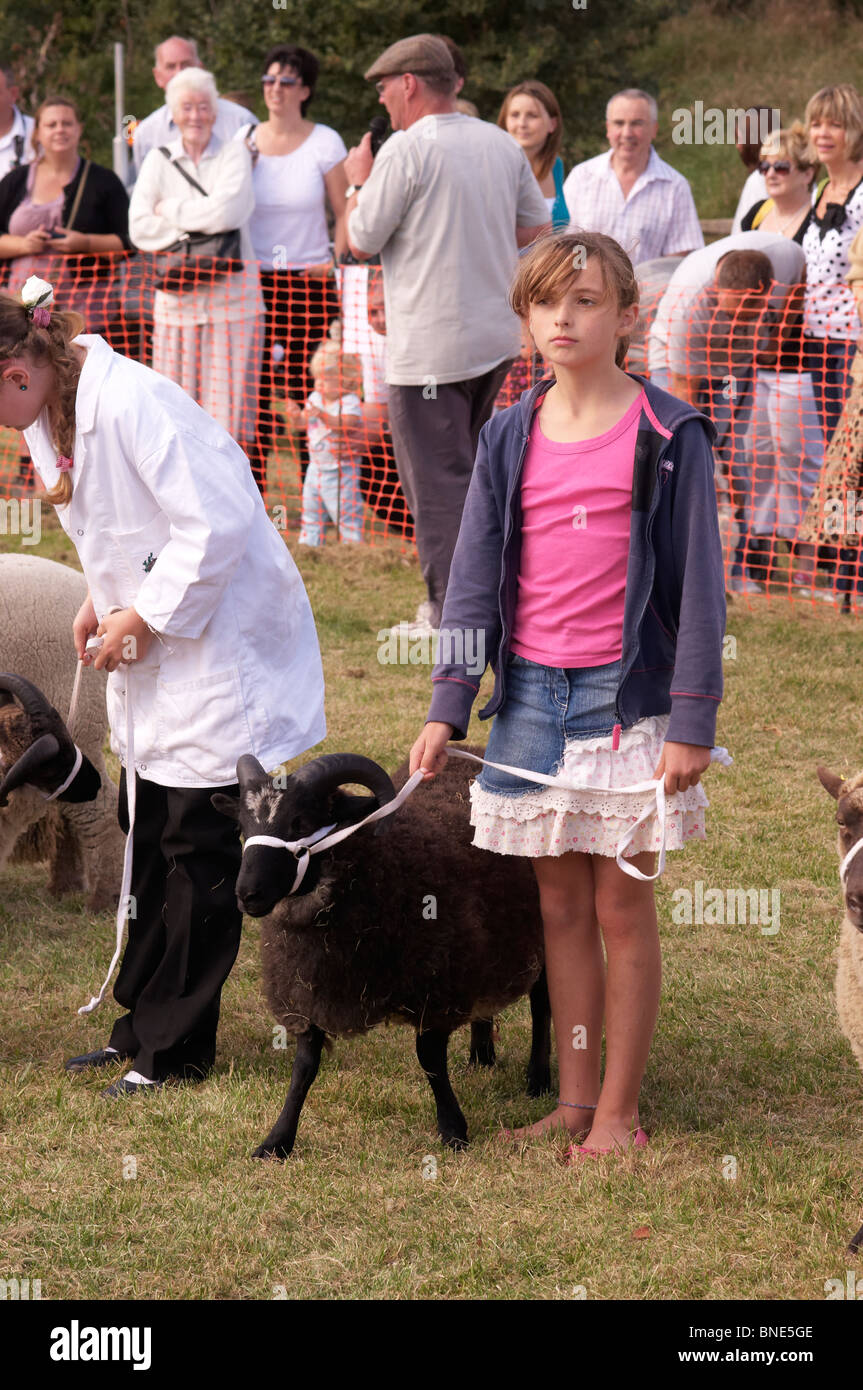 Findon Sheep Fair, West Sussex, England Stock Photo - Alamy