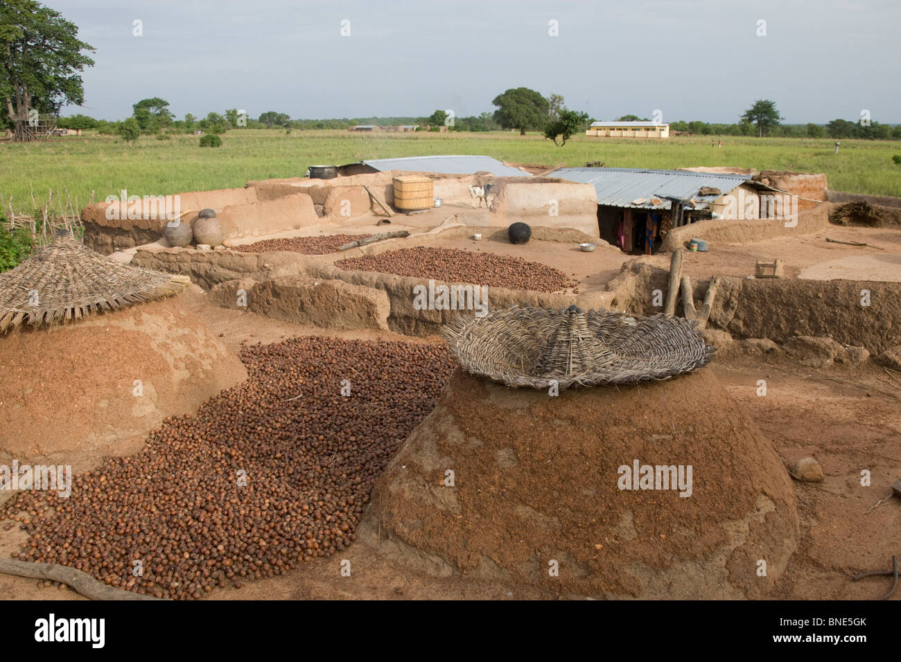 Rooftops of a Lobi compound used for food storage, Talawona, near ...