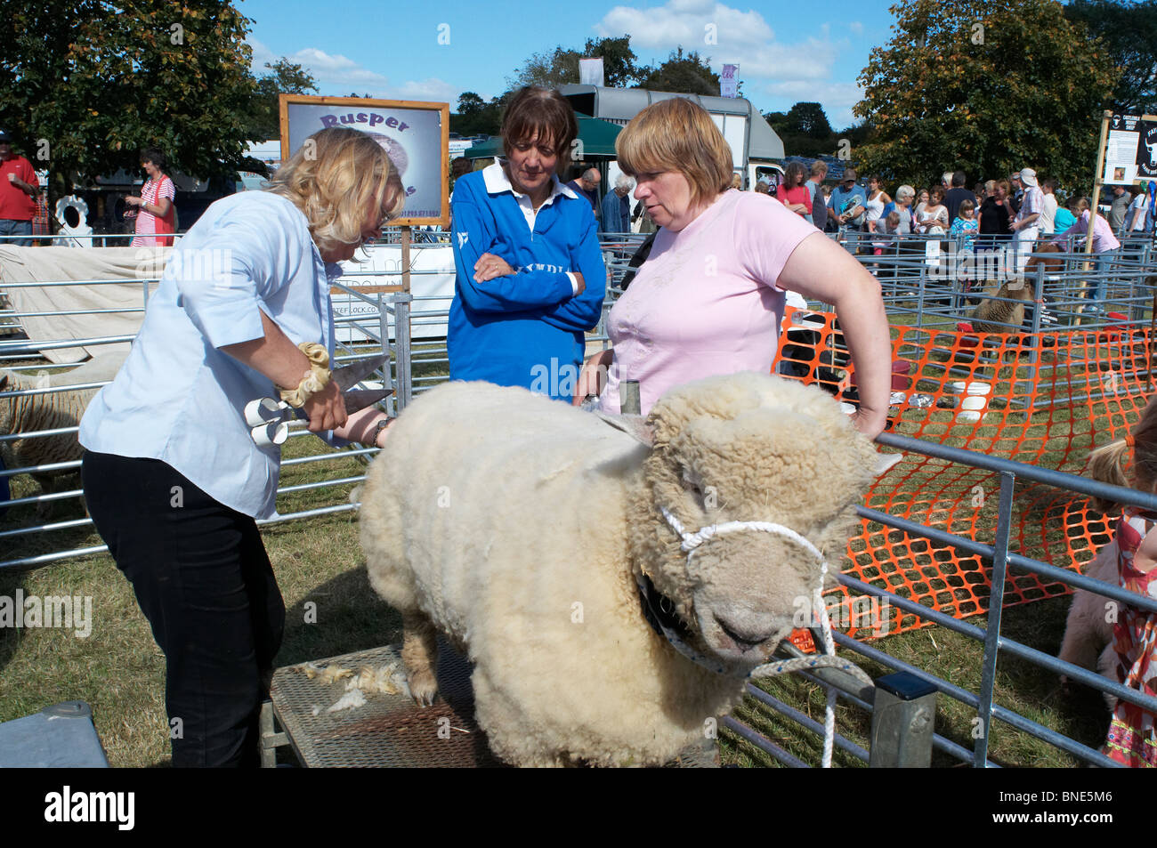 Traditional sheep fair hi-res stock photography and images - Alamy