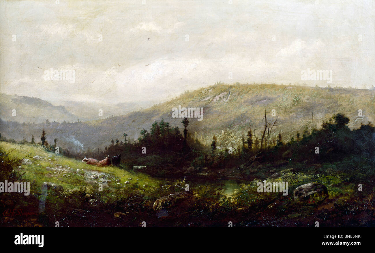 David shearer hi-res stock photography and images - Alamy