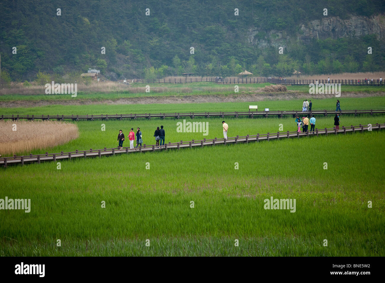 Suncheon Bay wetlands preserve in Jeollanam-do province, South Korea ...