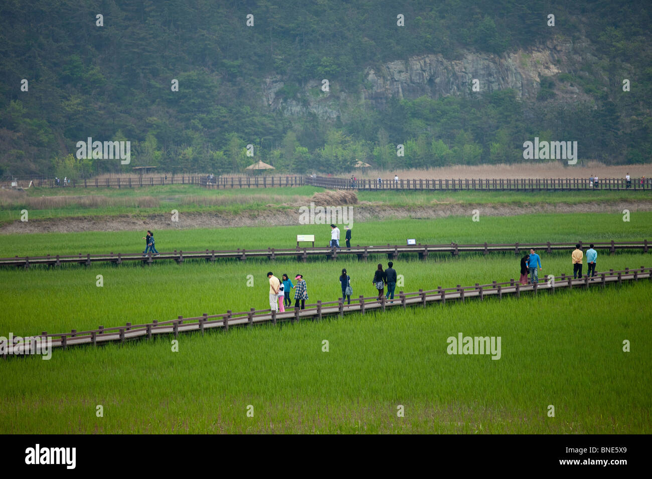 Suncheon Bay wetlands preserve in Jeollanam-do province, South Korea ...