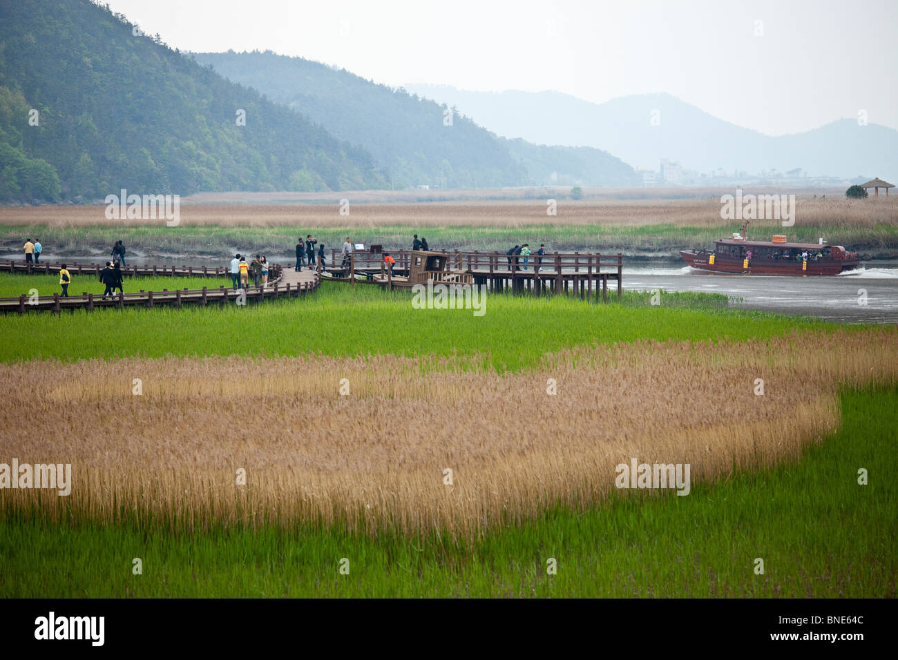 Suncheon Bay wetlands preserve in Jeollanam-do province, South Korea ...