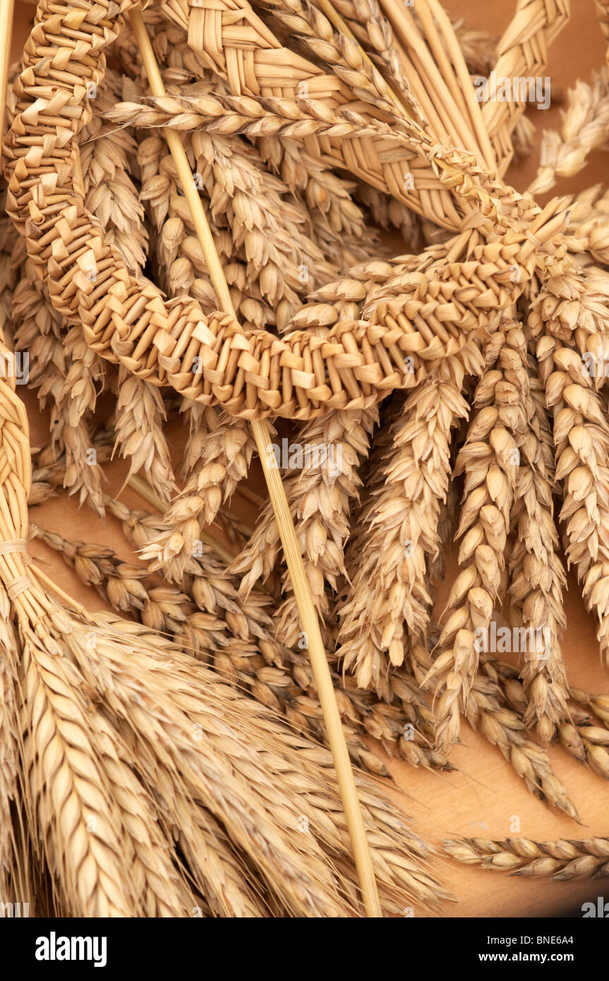 Corn dolly hi-res stock photography and images - Alamy