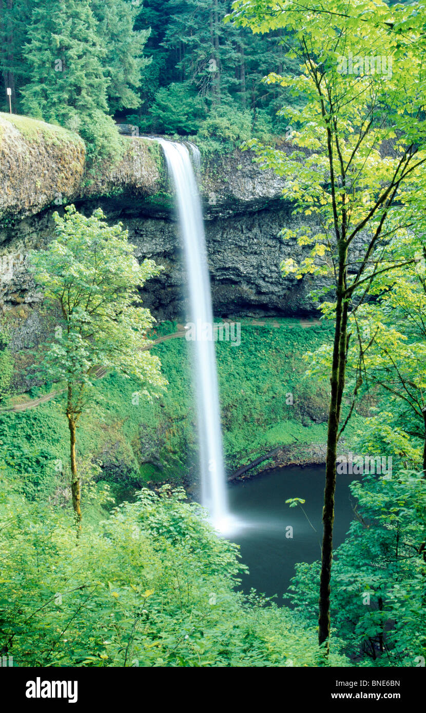 Oregon, USA, Silver Falls State Park, South Falls Stock Photo - Alamy