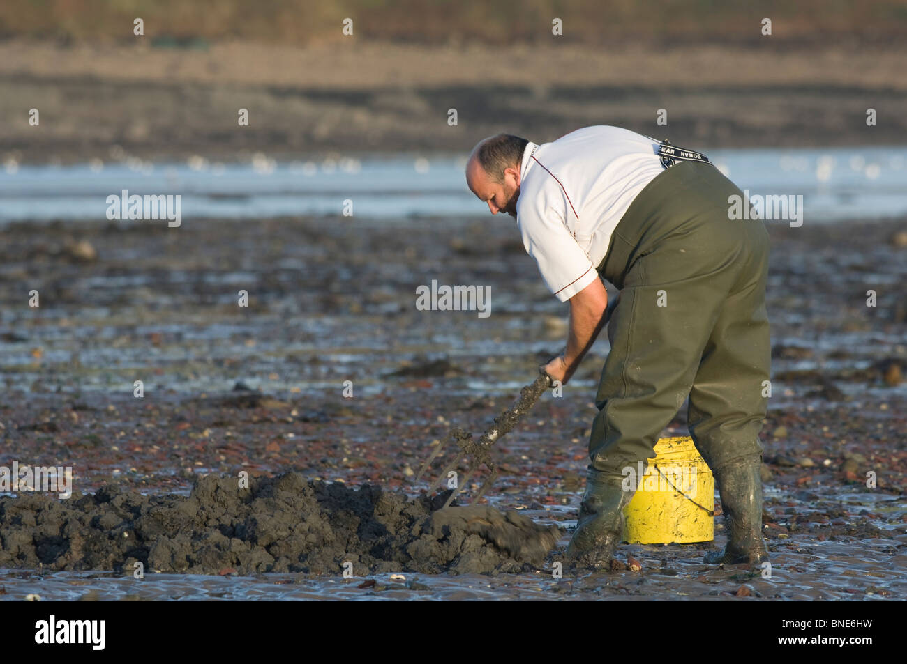Man digging for bait hi-res stock photography and images - Alamy